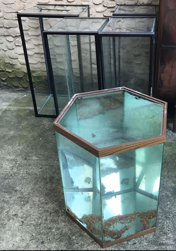 35 gallon Hexagon Aquarium fish tank complete $200 for Sale in ...