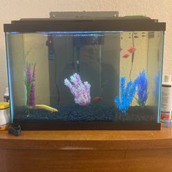 New and Used Fish tanks for Sale - OfferUp