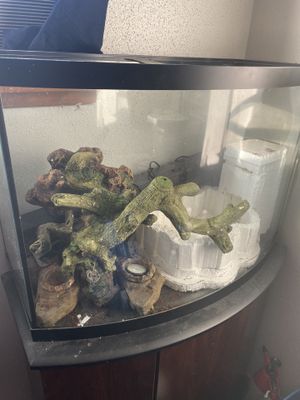 New and Used Fish tanks for Sale - OfferUp