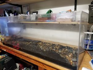 New and Used Fish tanks for Sale - OfferUp