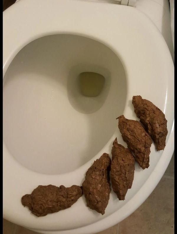 Like Real Poop for Sale in Los Angeles, CA - OfferUp