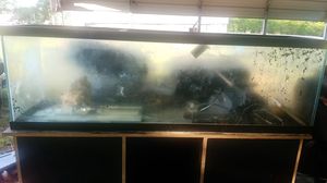 New and Used Fish tanks for Sale - OfferUp