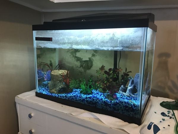 25 gallon fish tank for Sale in Greer, SC - OfferUp