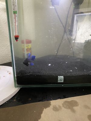 New and Used Fish tanks for Sale - OfferUp