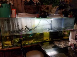 New and Used Fish tanks for Sale - OfferUp