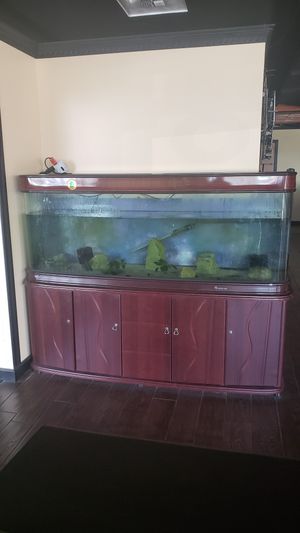 New and Used Fish tanks for Sale - OfferUp