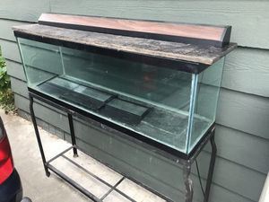 New and Used Fish tanks for Sale - OfferUp