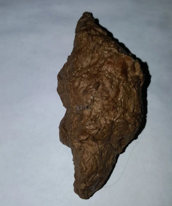 Like Real Poop for Sale in Los Angeles, CA - OfferUp
