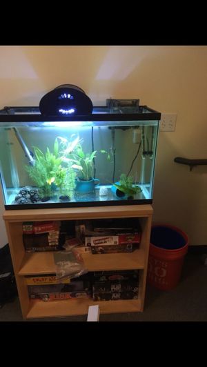 New and Used Fish tanks for Sale - OfferUp