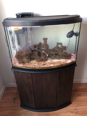 New and Used Fish tanks for Sale - OfferUp