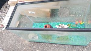 New and Used Fish tanks for Sale - OfferUp