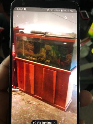New and Used Fish tanks for Sale - OfferUp