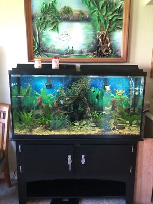 New and Used Fish tanks for Sale - OfferUp