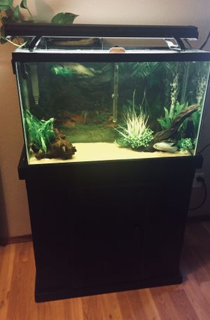 New and Used Fish tanks for Sale - OfferUp