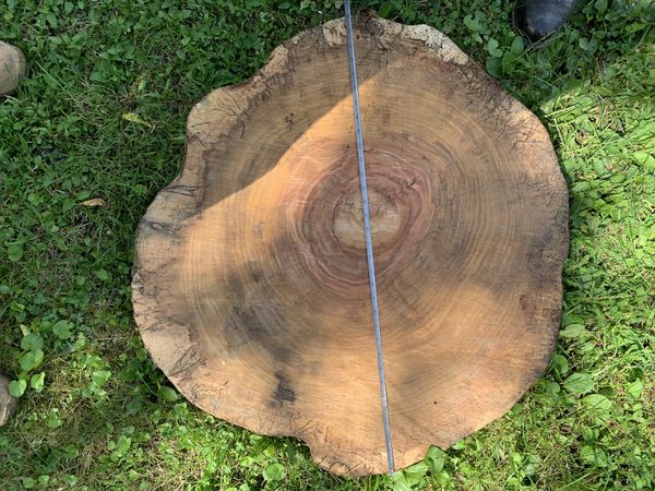 Round Wood Slabs with live edge for Sale in Old Mill Creek, IL - OfferUp