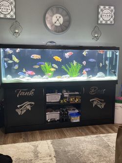 New and Used Fish tanks for Sale - OfferUp
