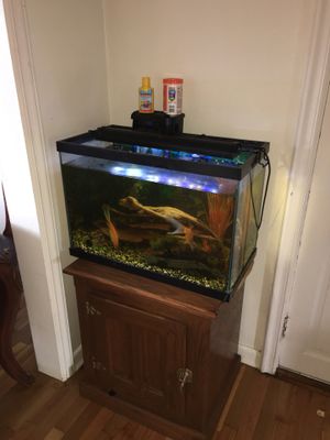 New and Used Fish tanks for Sale - OfferUp