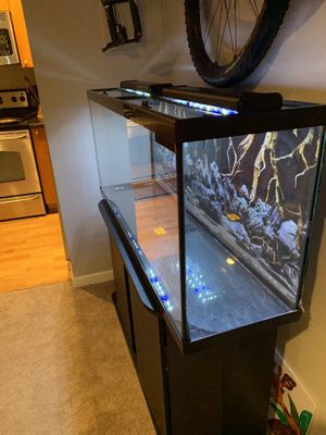 New and Used Fish tanks for Sale - OfferUp