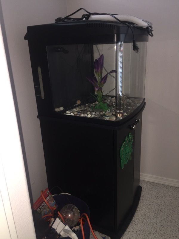 Bio Cube LED With Cabinet For Sale In Kent WA OfferUp Bio Cube LED With Cabinet For Sale In Kent WA OfferUp