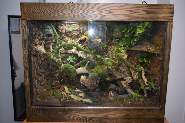 Custom Made Wooden Reptile Terrarium/Vivarium/Tank for Sale in Salem ...