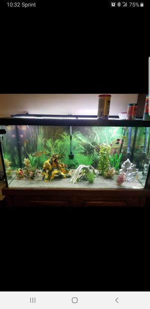 New and Used Fish tanks for Sale - OfferUp