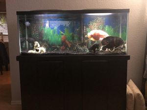 New and Used Fish tanks for Sale - OfferUp
